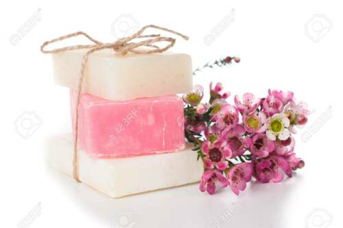 Septic Tank Maintenance: Bio-Safe One